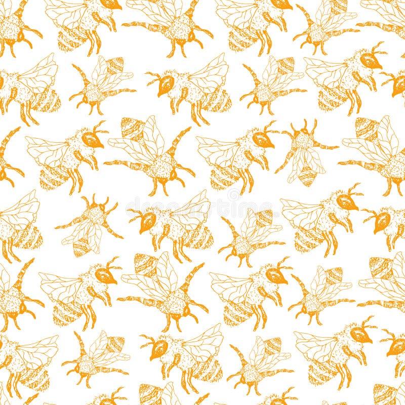 Honey Bee Seamless Pattern, Sketch Vector Illustration with Bee Hives ... Honey Bee Seamless Pattern, Sketch Vector Illustration with Bee Hives ...