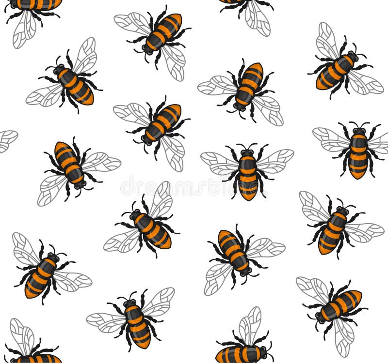 Honey Bee Seamless Pattern on White Background. Vector Stock Vector ...