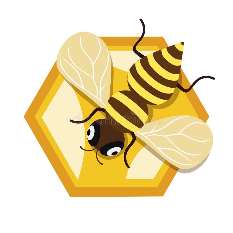 Honey Bee and Single Honey Comb Unit Flat Design Stock Vector ...