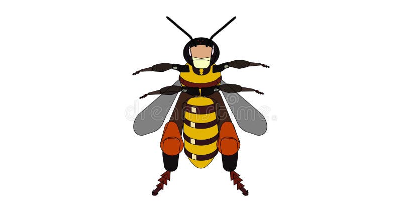 Honey Bee Insects Flying Over Screen in Loop Backgrounds Green Screen ...