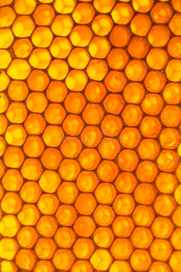 Beehive Yellow Abstract Stock Images - Download 1,376 Royalty Free Photos
