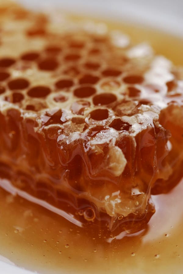 Honey comb stock image. Image of beeswax, piece, natural - 5269781