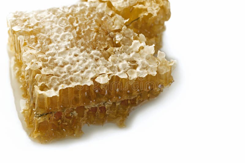 Honey comb stock image. Image of diet, beeswax, delicious - 31024285