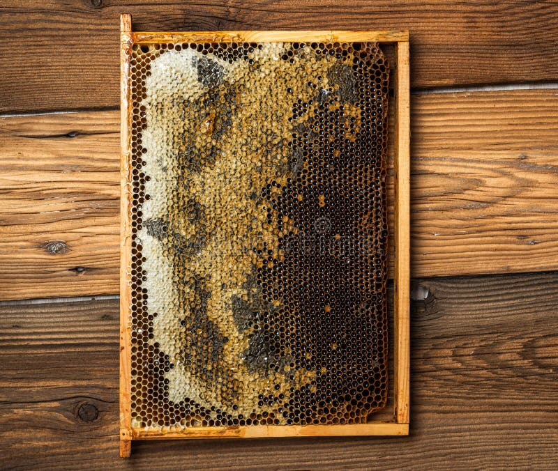 Honey Comb in Frame, Beekeeping Background Stock Image - Image of ...