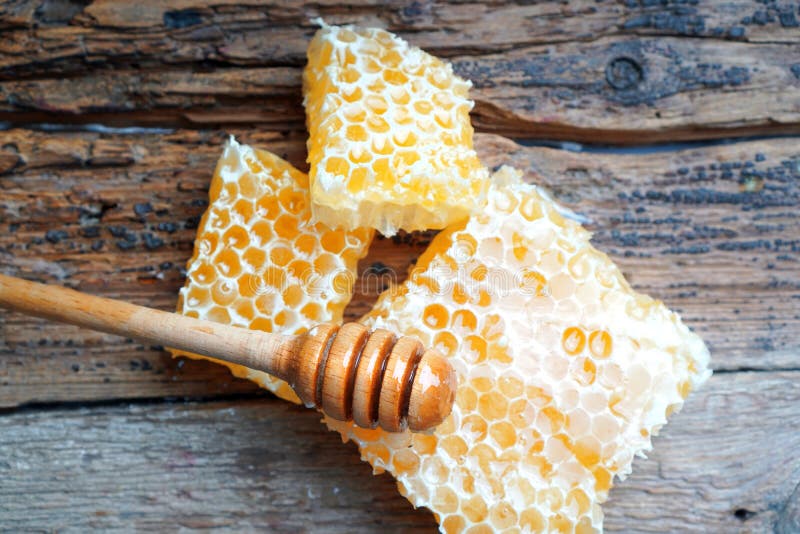 Honey Combs stock photo. Image of hobby, insect, farm, bumble - 608890 Honey Combs stock photo. Image of hobby, insect, farm, bumble - 608890
