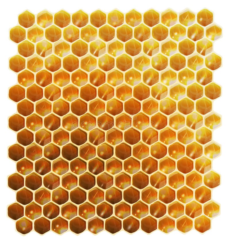 Honey Combs stock photo. Image of hobby, insect, farm, bumble - 608890 Honey Combs stock photo. Image of hobby, insect, farm, bumble - 608890