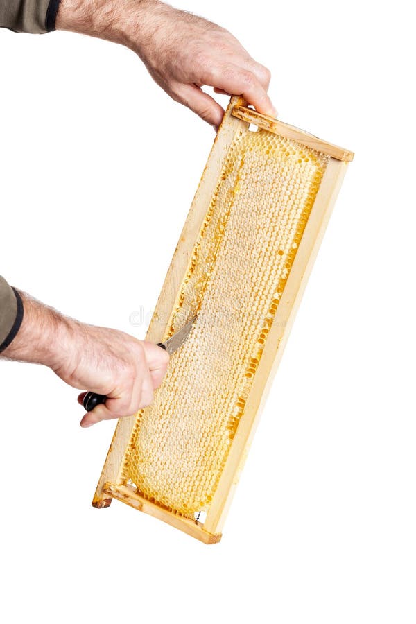 Honey Cutter in Honeycombs with a Wooden Frame on a White Background ...