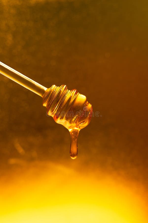 Honey Dripping from Dripper Stock Image - Image of flower, dripping ...