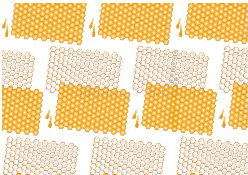 Honey Drop and Comb Pattern ,Vector Illustration Stock Vector ...