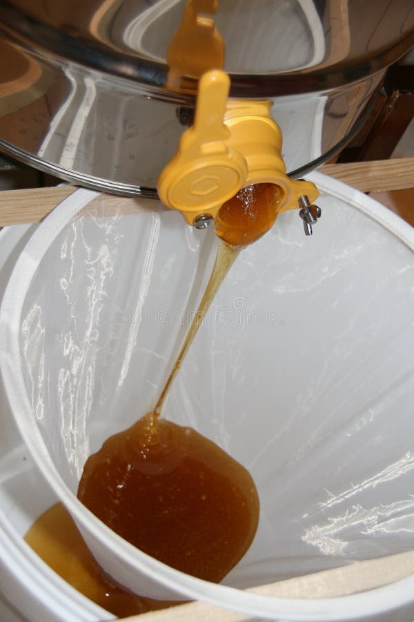 Honey extraction stock photo. Image of honey, healthy - 98913726