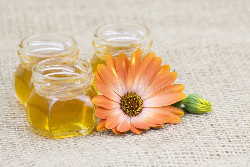 Honey and flower stock photo. Image of honey, space, pour - 25270404