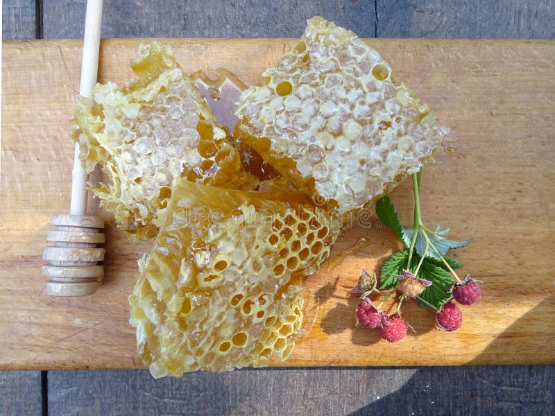 The Honey in the Frame is Collected by Bees Stock Photo - Image of ...