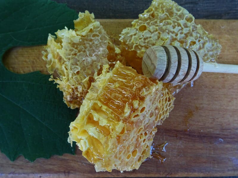 The Honey in the Frame is Collected by Bees Stock Photo - Image of ...