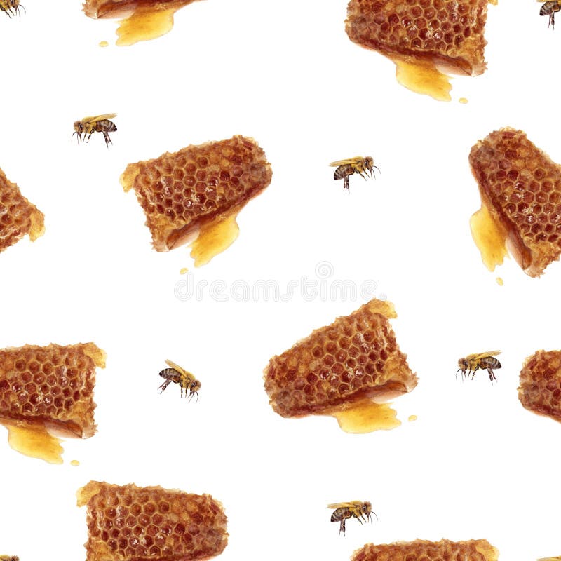 Honey Hand Drawn Watercolor Illustration. Seamless Pattern. Stock ...