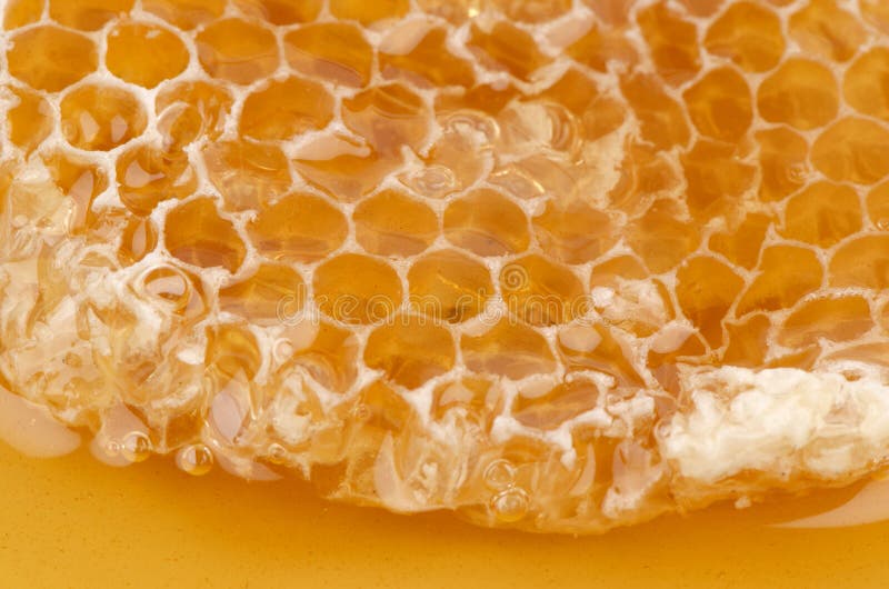 Honey and the Honeycomb. (Apis Spp) Stock Image - Image of meth, brown ...