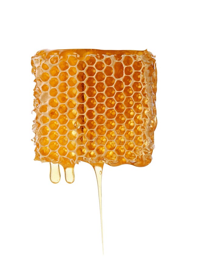 Honey Honeycomb Single Piece with Liquid Honey Drop Isolated on White ...