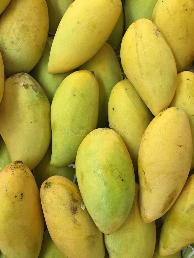 Honey mango stock image. Image of fruit, rainbow, mango - 57012617
