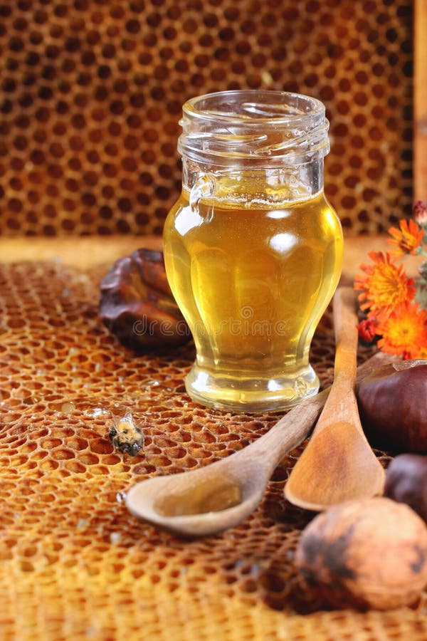 Heather honey stock photo. Image of honey, close, healthy - 11623138