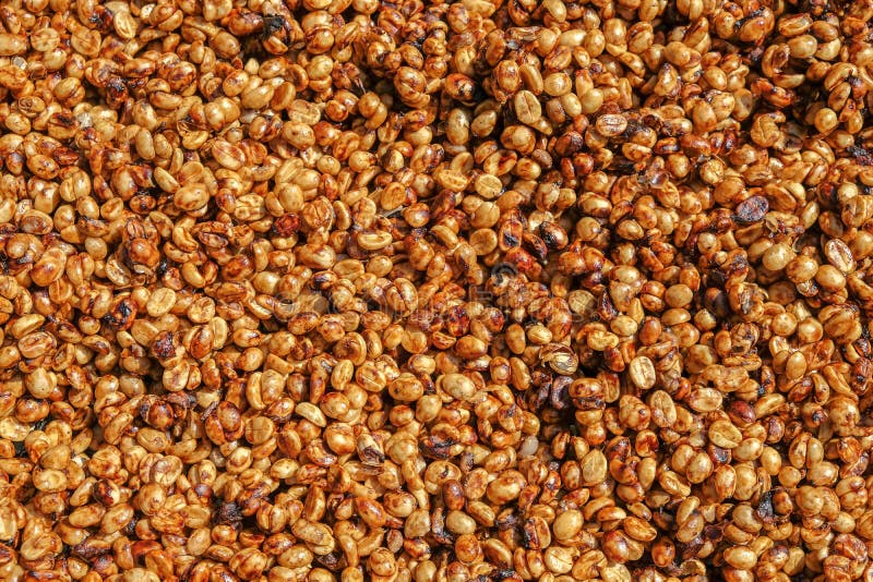 Honey Process Coffee with Sunlight. Stock Photo - Image of organic ...