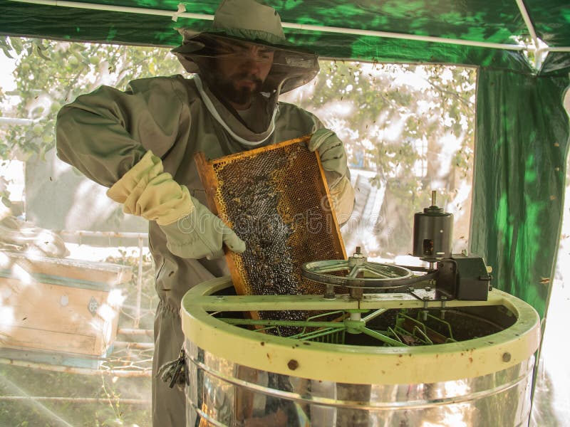 Honey Production and Bees Keeping - Beekeeping Concept Stock Photo ...