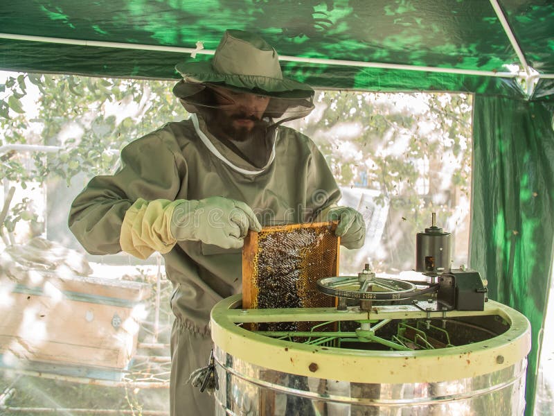 Honey Production and Bees Keeping - Beekeeping Concept Stock Photo ...