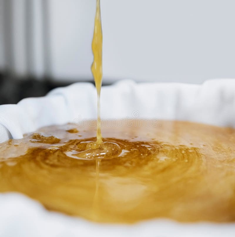 Honey Production, Extraction and Drip in Factory with Sweet Gold ... Honey Production, Extraction and Drip in Factory with Sweet Gold ...