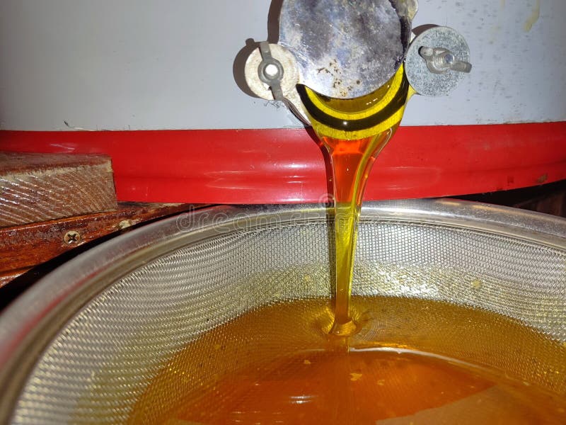 Honey Production. the Work of a Beekeeper Stock Image - Image of ...