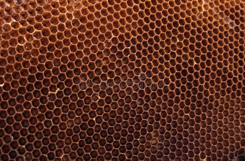 Honey texture stock image. Image of hexagon, abstract - 6162785