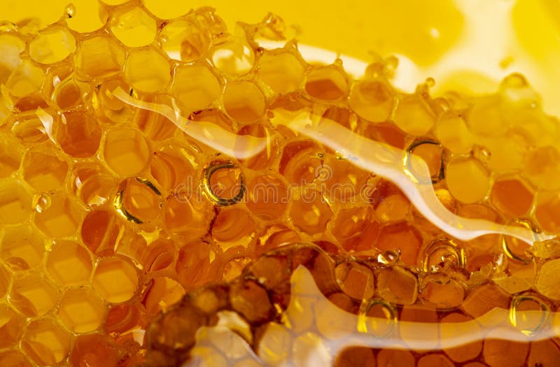 Honey Texture Close Up in the Detail Stock Photo - Image of fresh ...