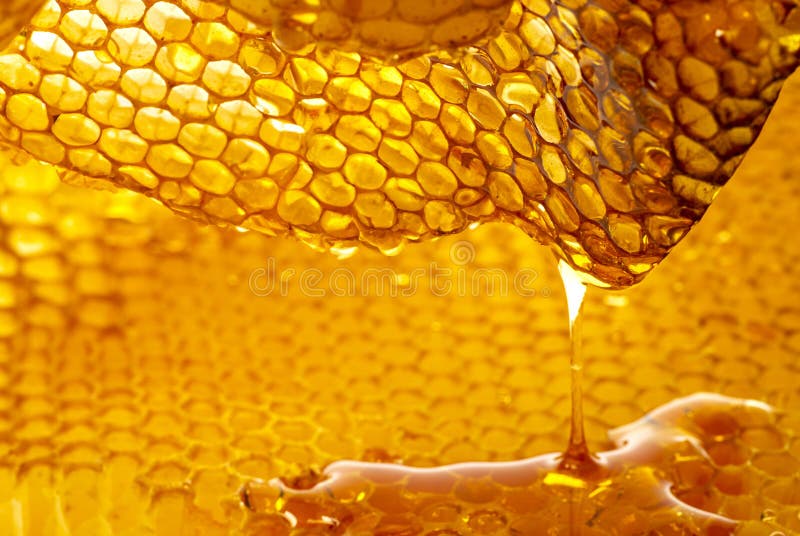 Honey Texture Close Up in the Detail Stock Photo - Image of natural ...