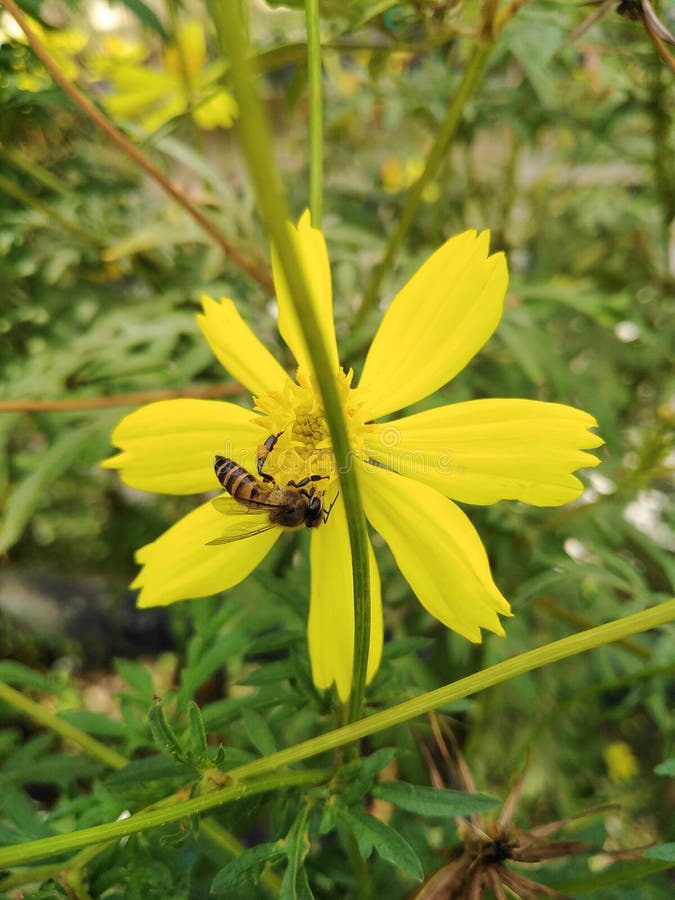 Necher Stock Photos - Free & Royalty-Free Stock Photos from Dreamstime