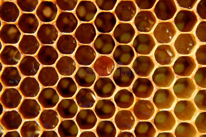 Honeycomb Picture. Image: 15100916