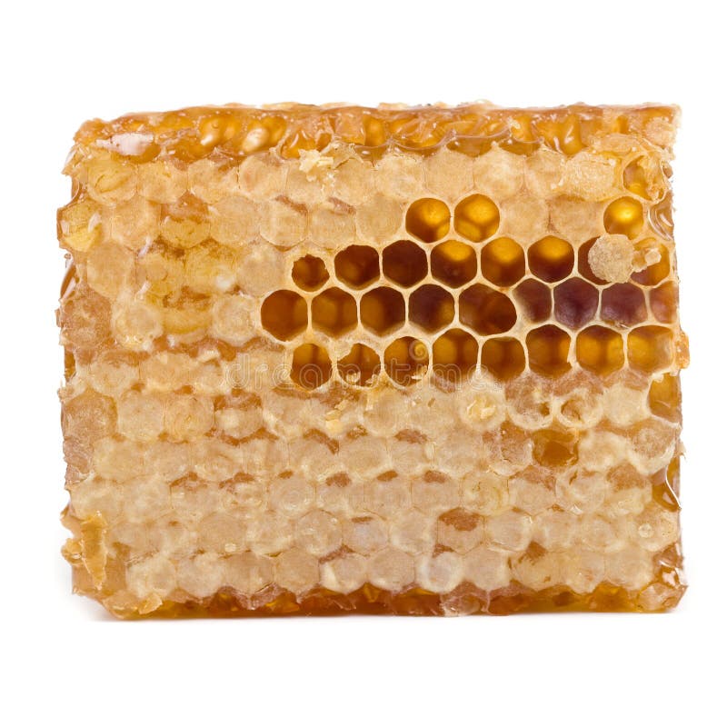 Honeycomb stock photo. Image of gold, healthy, square - 16222378