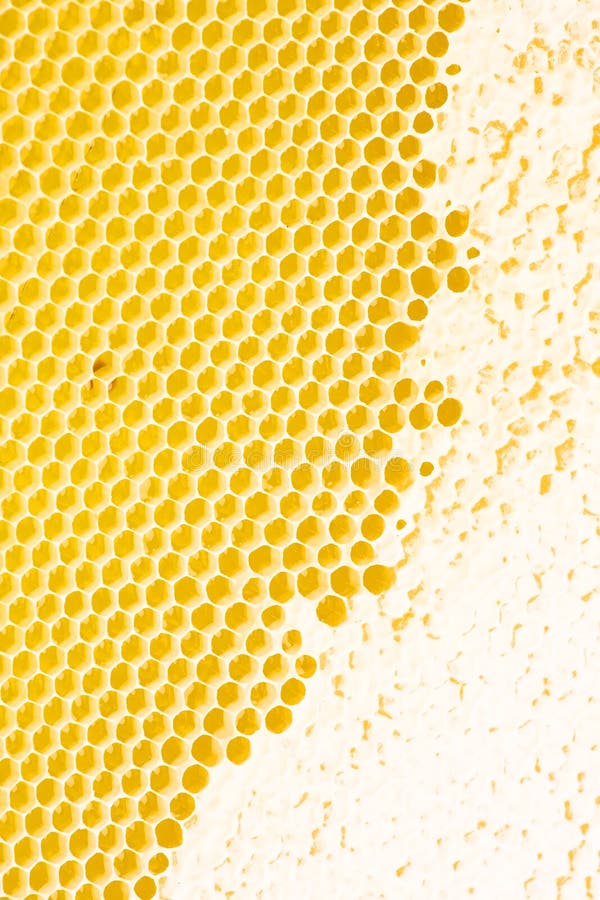 Honeycomb stock image. Image of abstract, drone, macro - 6162117