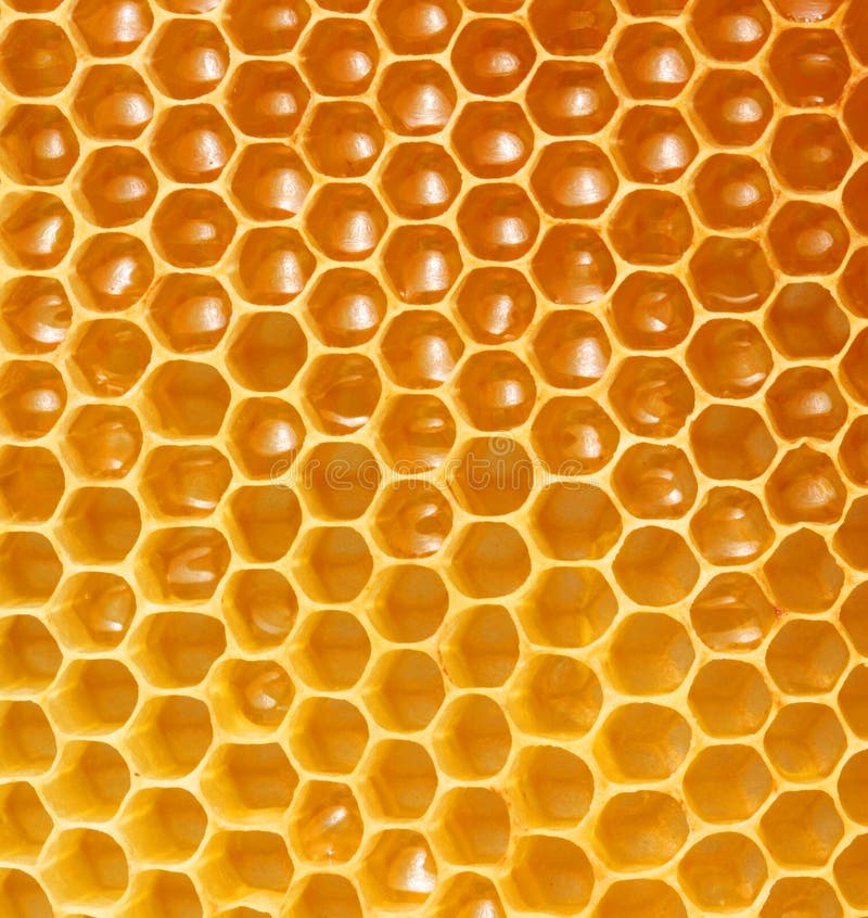 Honeycomb background stock photo. Image of lifestyle - 26398108