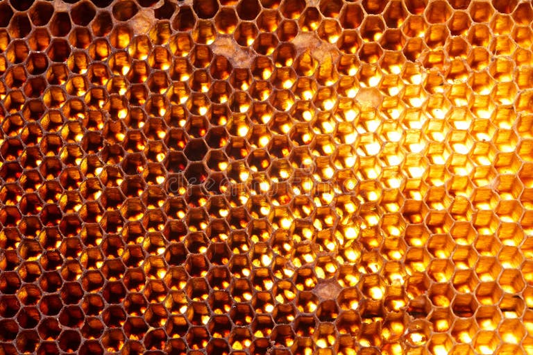 1,813 Api Remove Background Stock Photos - Free & Royalty-Free Stock ...