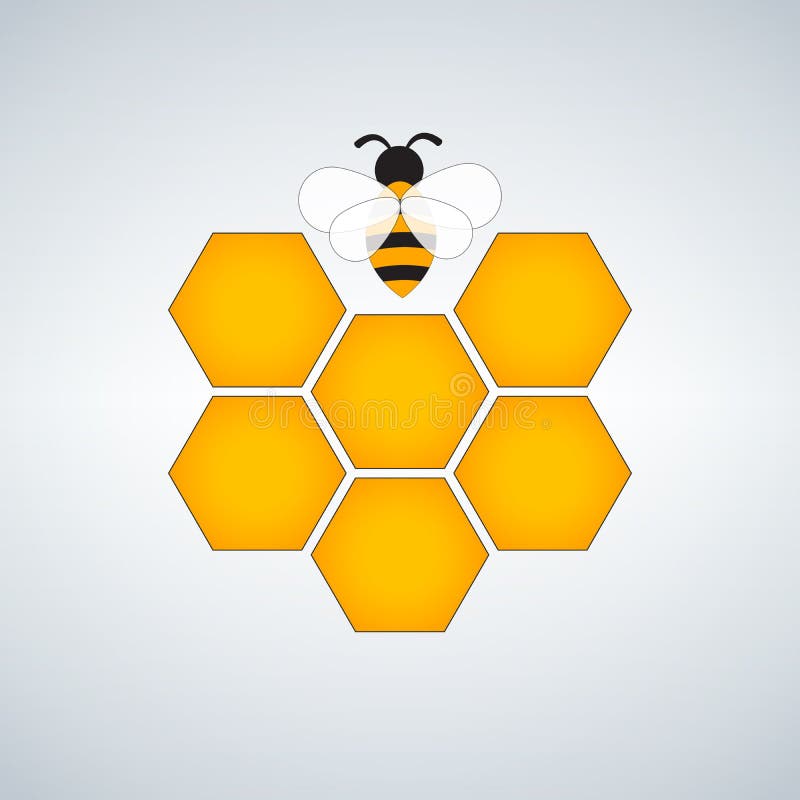Honeycomb and the Bee Vector Poster White Background Stock Photo ...