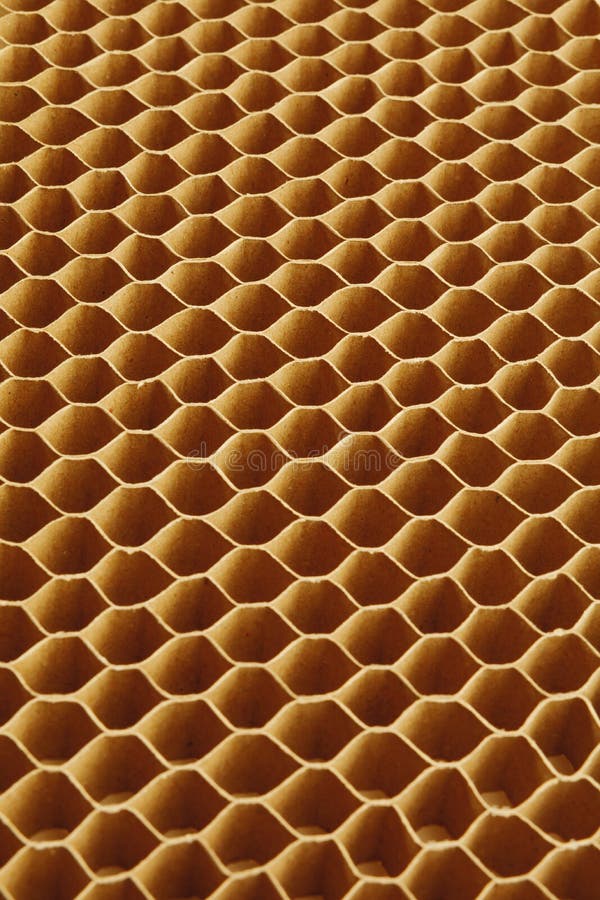 Honeycomb Cells of Cardboard Stiffening Rib Background Stock Photo ...
