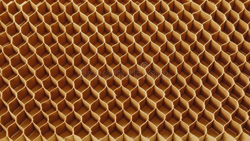 Honeycomb Cells Of Cardboard Stiffening Rib Background Stock Image ...
