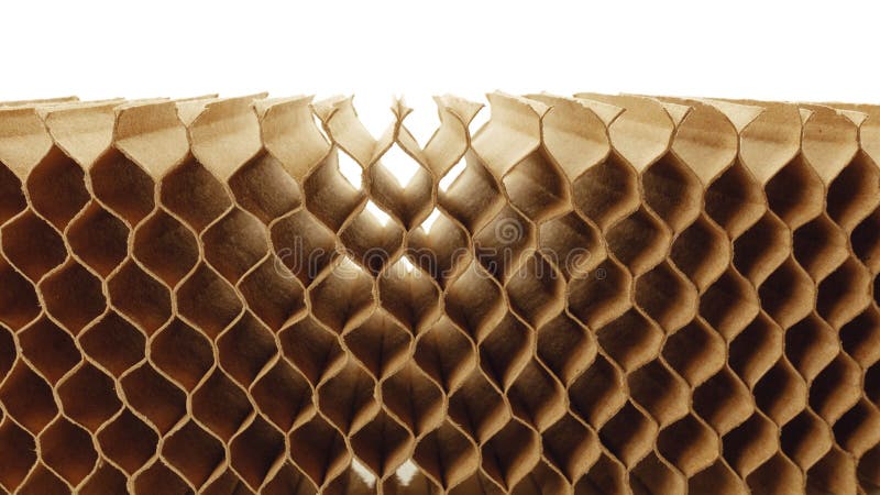 Honeycomb Cells of Cardboard Stiffening Rib Background Stock Photo ...