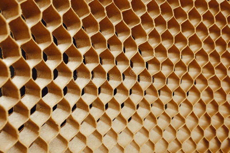 Honeycomb Cells of Cardboard Stiffening Rib Background Stock Image ...