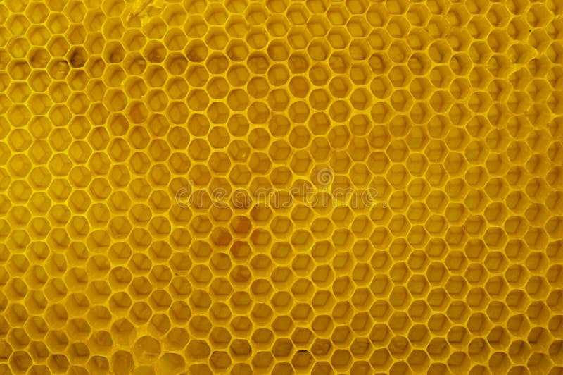 Honeycomb Close-up Macro. Honeycomb Background Stock Image - Image of ... Honeycomb Close-up Macro. Honeycomb Background Stock Image - Image of ...