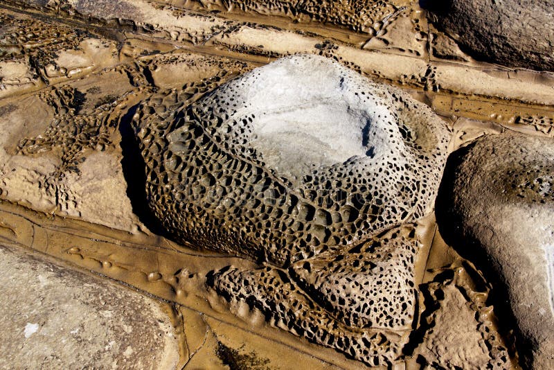 Honeycomb Dimpled Erosion Pattern on Rock in Seashore Pool Stock Image ...