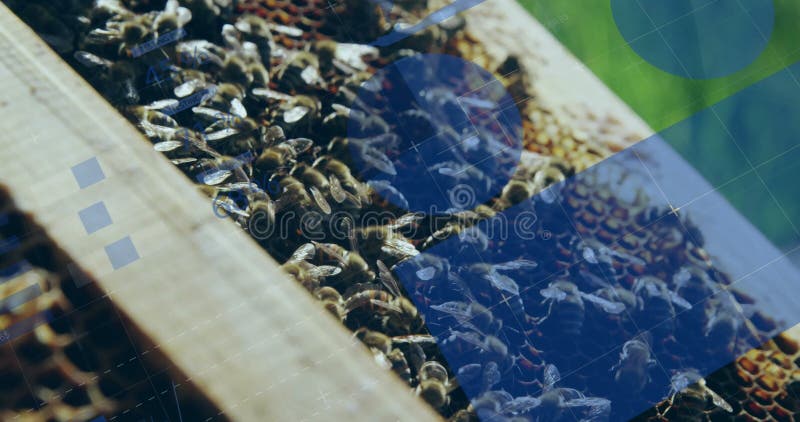 Honeycomb Frame Being Visualized in Animated Illustration, Showing ...