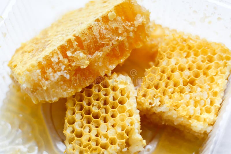Honeycomb. stock photo. Image of pattern, cell, close - 85681868