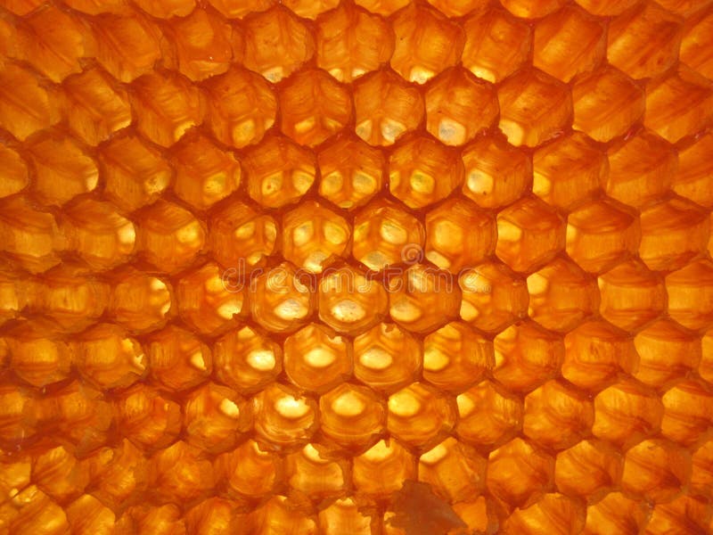 Honeycomb hexagon matrix stock photo. Image of shows - 34869346