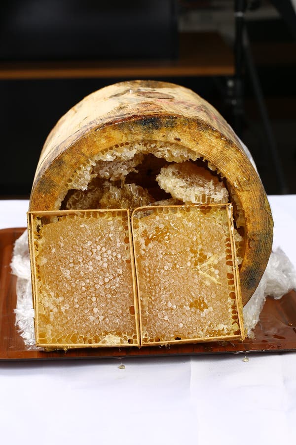 Plain Bee Hive Background Stock Photos - Free & Royalty-Free Stock ...