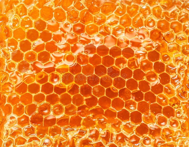 Honeycomb Pattern. Honey Texture As a Background, Wallpaper Stock Photo ...