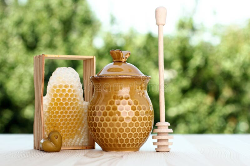 396 Honeypot Stock Photos - Free & Royalty-Free Stock Photos from ...