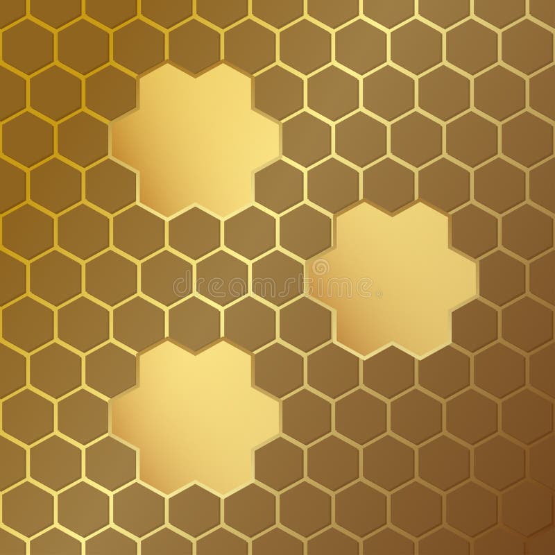 Honeycomb Pattern with Frames. Vector Illustration.Hexagonal Cell ...